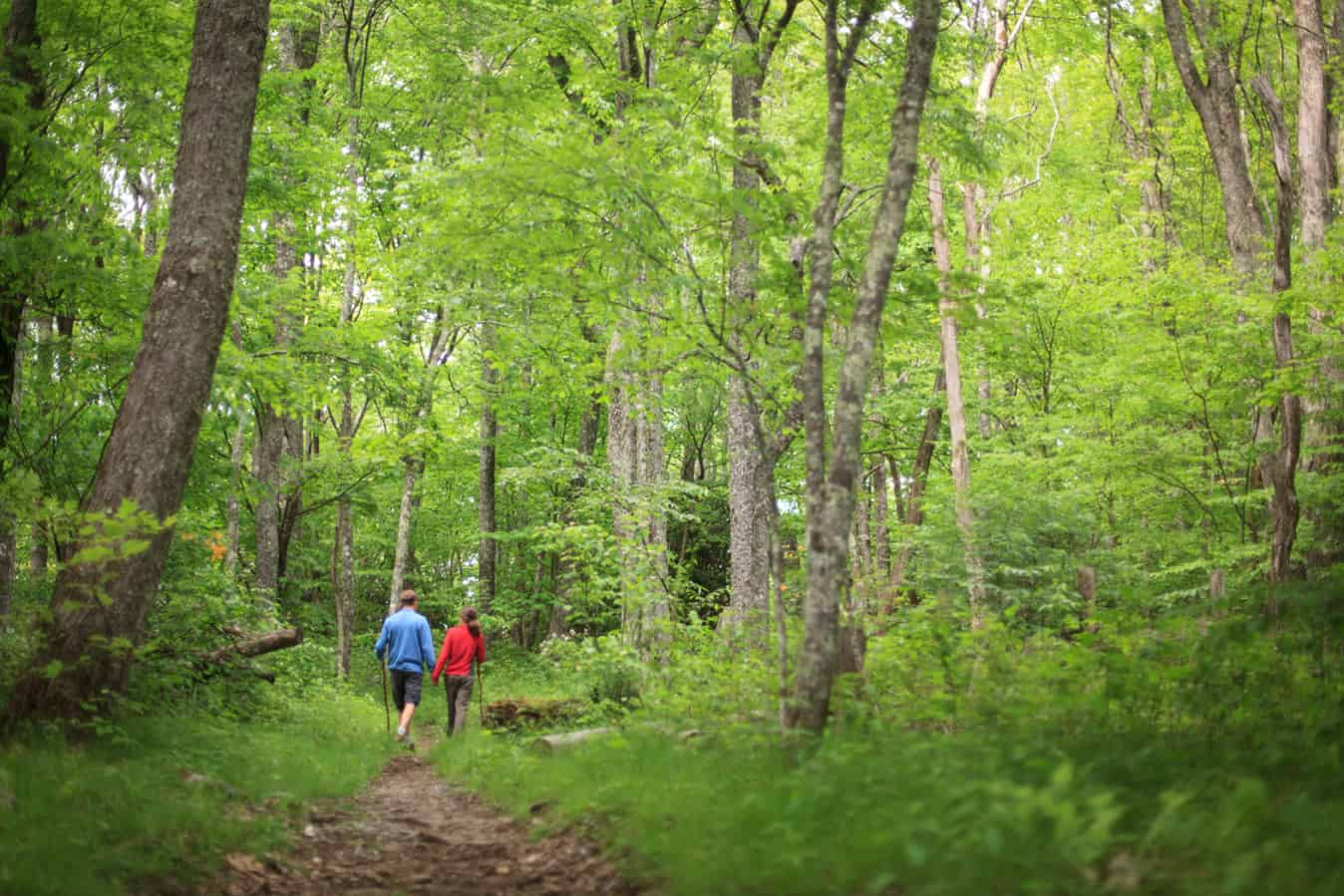 Hiking Safety 101 | Blog | Visit NC Smokies