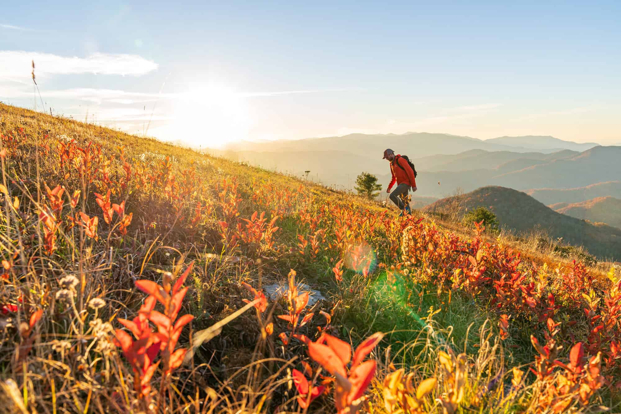 Fall Festival in the NC Smokies - Visit Haywood Western NC Mountains