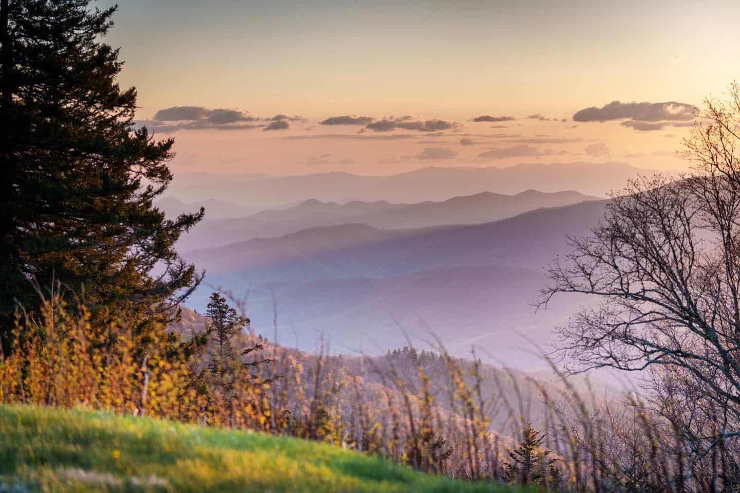 Roy Taylor Forest Overlook - Visit Haywood Western NC Mountains